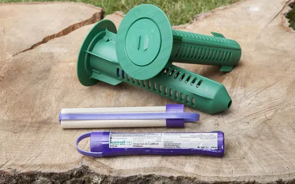 Local Termite Exterminator | Termite Inspection & Treatment | Frontline ...